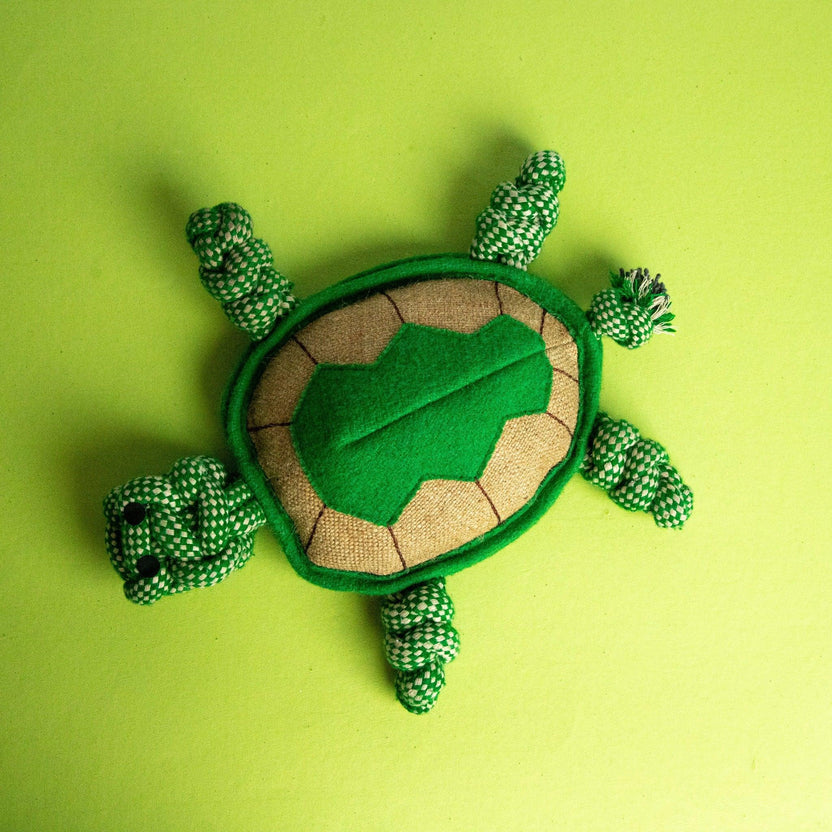 Tony the Turtle | Buy Turtle dog toy Online at Best Price – Dutch Hollandia